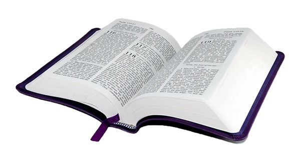 Book Cover Services | Book Publishing Author